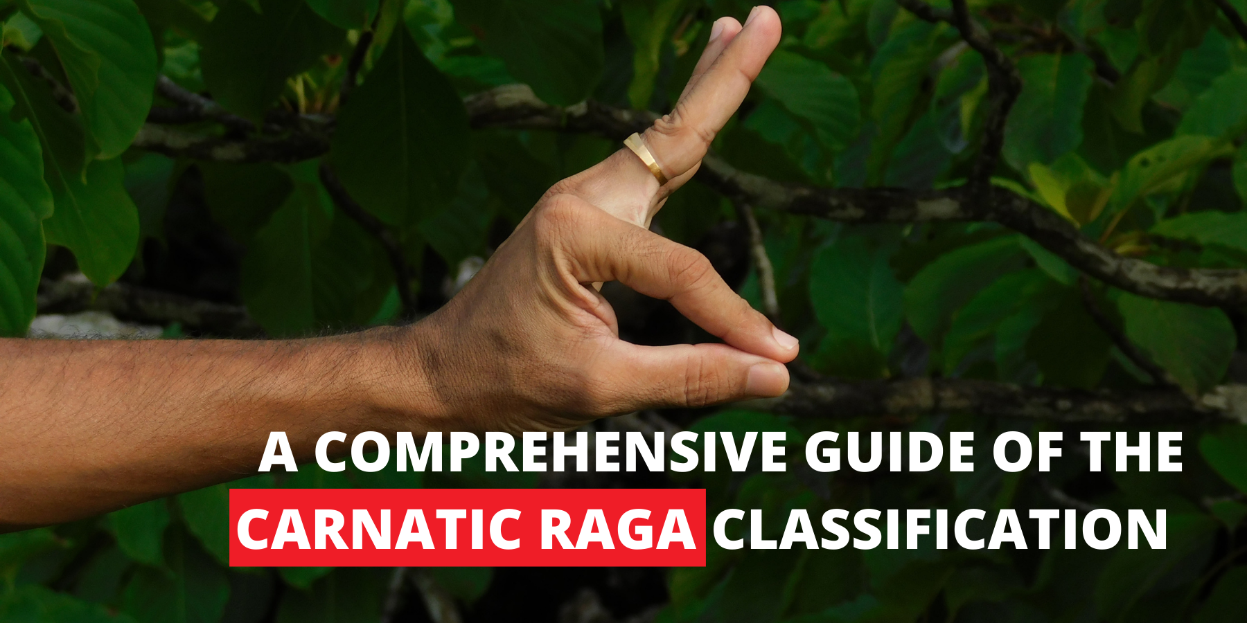 A Comprehensive Guide of the Carnatic Raga Classification | Listicles